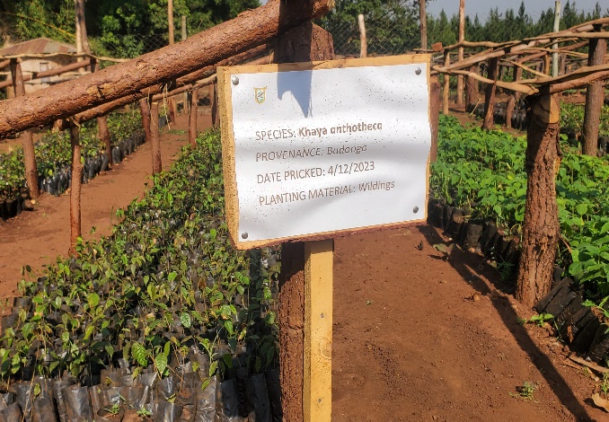 Campus Life and Facilities | Nyabyeya Forestry College
